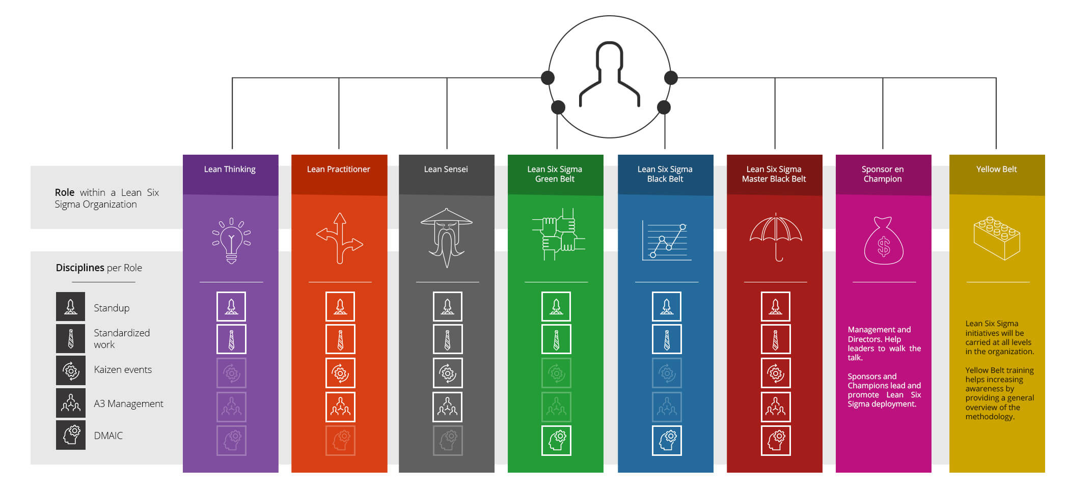 Implementare Lean Six Sigma - The Lean Six Sigma Company